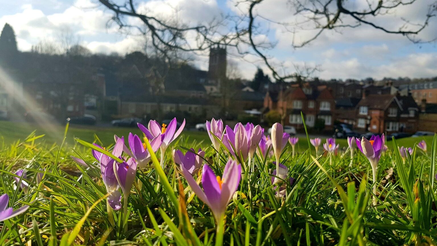 Countryside walks around Caterham, Surrey